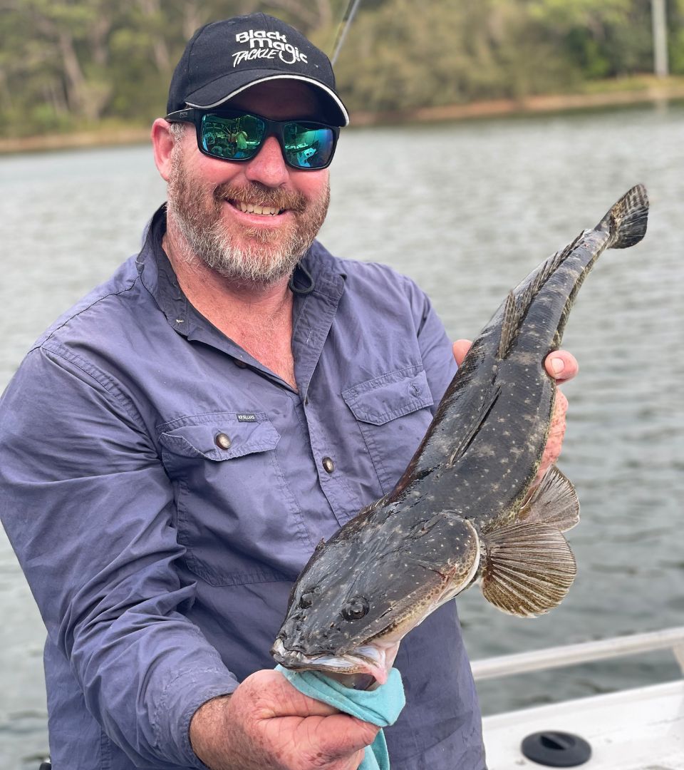 Flathead - Species Guide